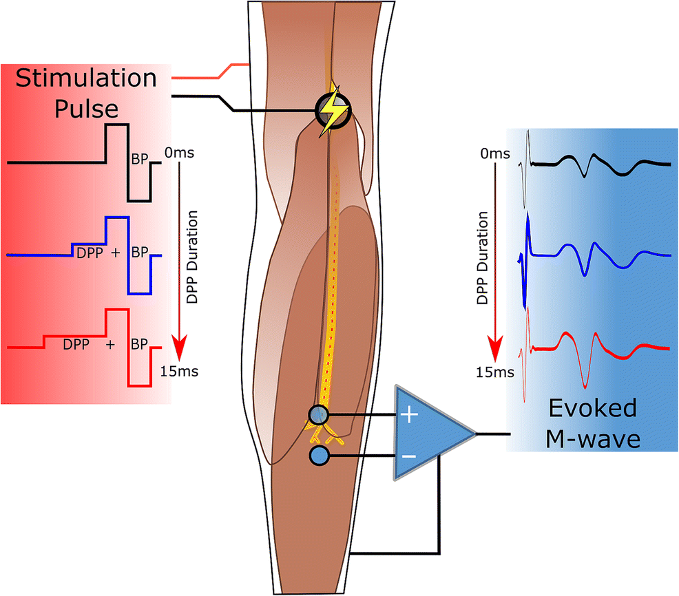 Sub-threshold depolarizing pre-pulses can enhance the efficiency of ...