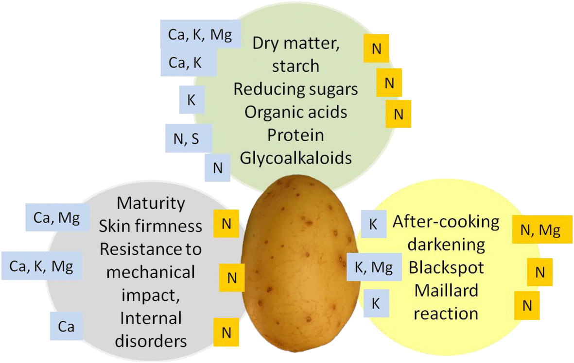 The Importance of Nutrient Management for Potato Production Part II ...