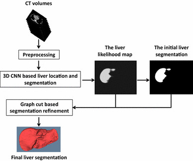 Automatic 3D liver location and segmentation via convolutional neural ...