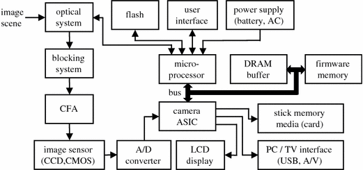 Single-sensor imaging in consumer digital cameras: a survey of recent advances and future ...