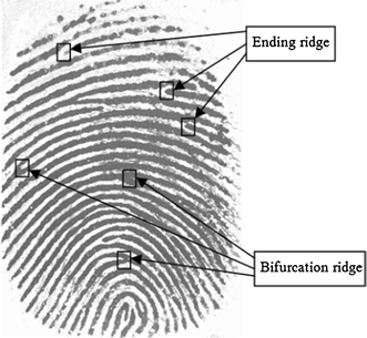 Real-time fingerprint image enhancement with a two-stage algorithm and block–local normalization ...