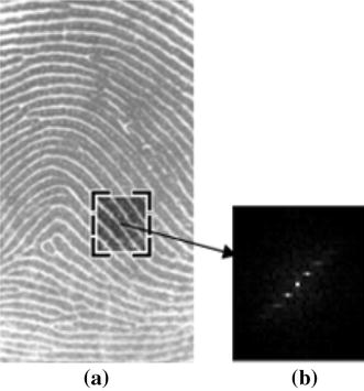 Real-time fingerprint image enhancement with a two-stage algorithm and block–local normalization ...