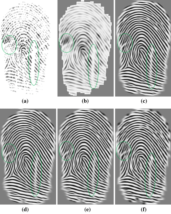 Real-time fingerprint image enhancement with a two-stage algorithm and block–local normalization ...
