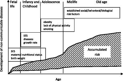 A life course approach: research orientations and future challenges ...