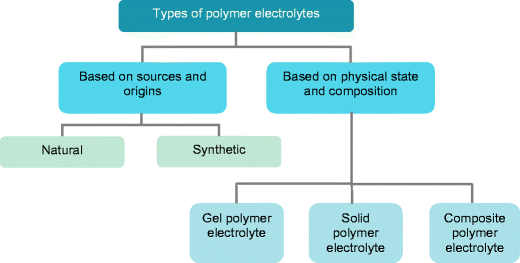 A review of polymer electrolytes: fundamental, approaches and ...