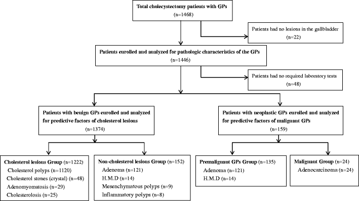 Gallbladder Polypoid-Lesions: What Are They and How Should They be ...