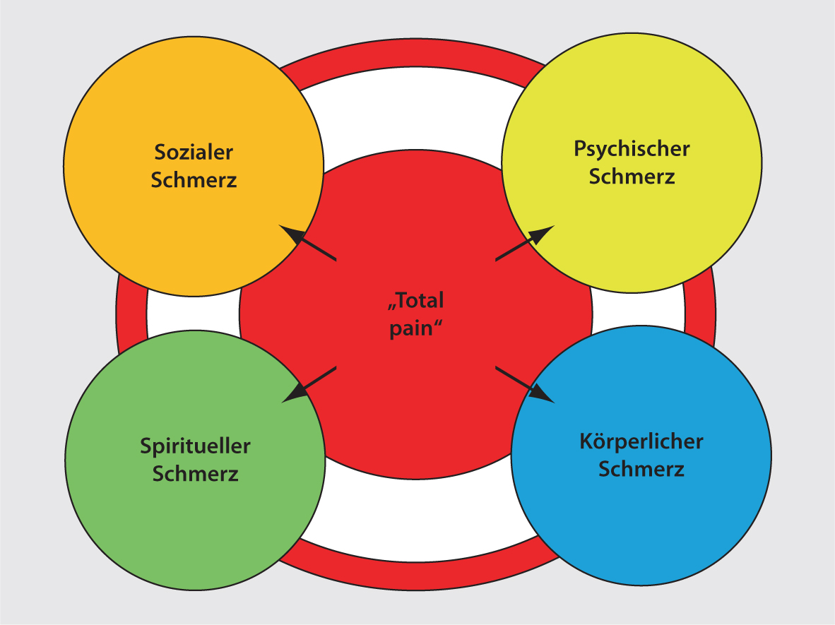 Schmerztherapie in der Palliativmedizin | SpringerLink