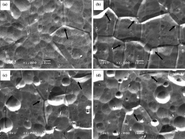 Effect of Initial Microstructure on Surface Appearance of Anodized ...