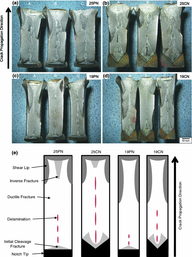 Effects of Specimen Thickness and Notch Shape on Fracture Modes in the ...