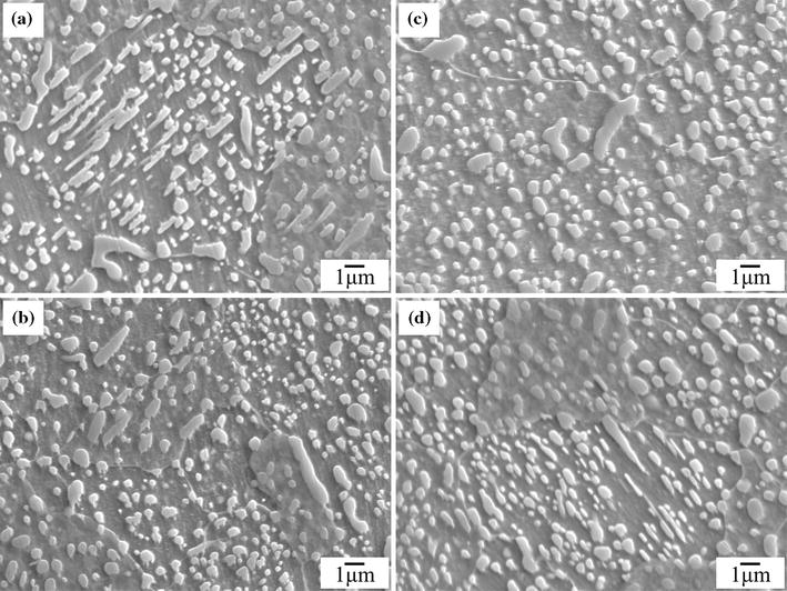 Microstructure of Hot Rolled 1.0C-1.5Cr Bearing Steel and Subsequent ...