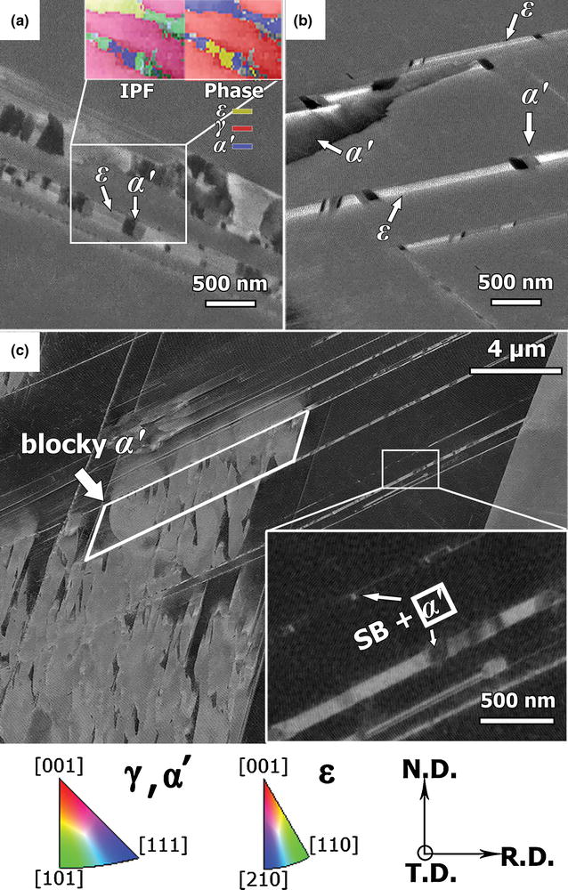 Deformation Microstructure and Deformation-Induced Martensite in ...