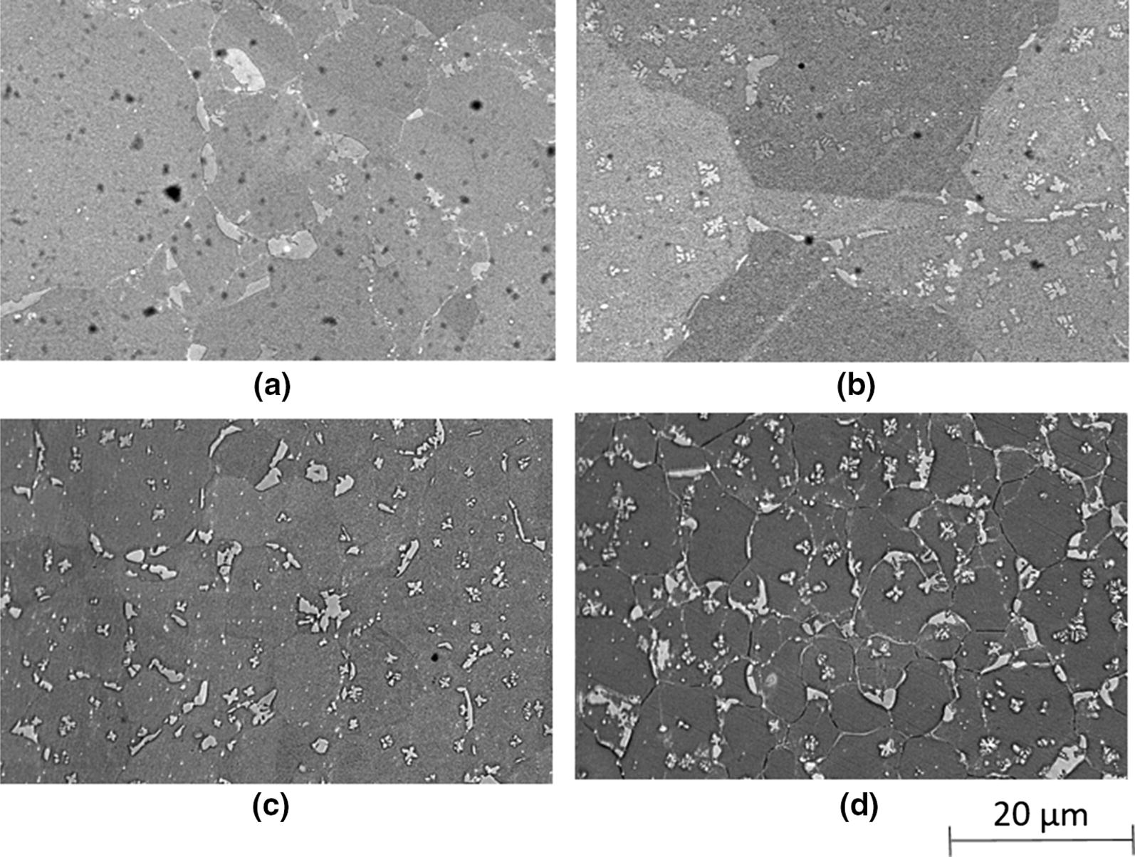 On the Evolution of Primary Gamma Prime Precipitates During High ...
