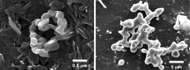 Transient Inclusion Evolution During Modification of Alumina Inclusions ...