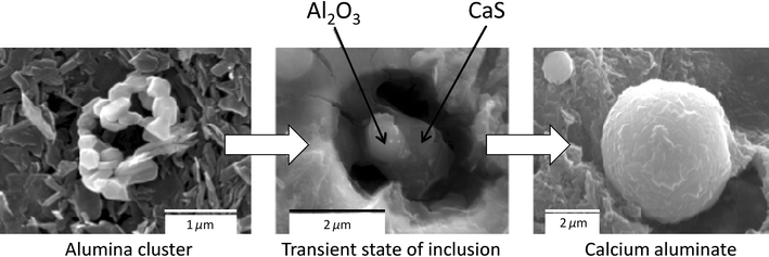 Transient Inclusion Evolution During Modification of Alumina Inclusions ...