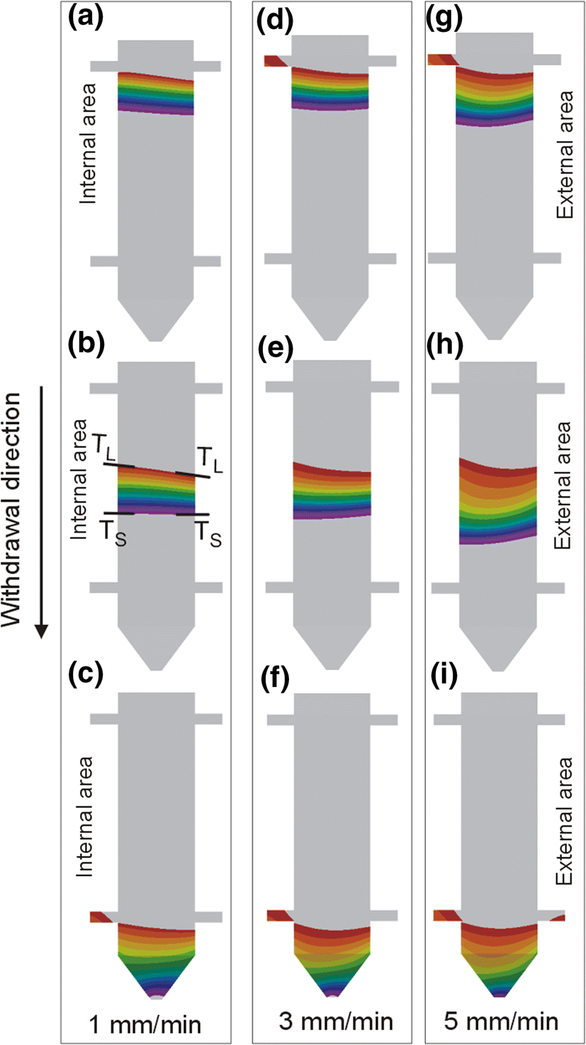 Effect of Processing Parameters and Shape of Blade on the Solidification of Single-Crystal CMSX ...