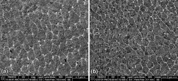 Microstructure and Mechanical Behavior of 17-4 Precipitation Hardenable ...
