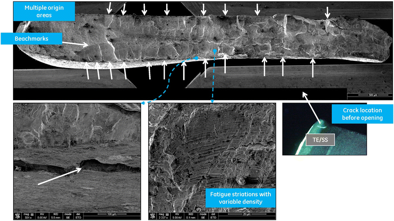 Investigation of Fatigue Failures of Titanium Alloy Blades Used in ...
