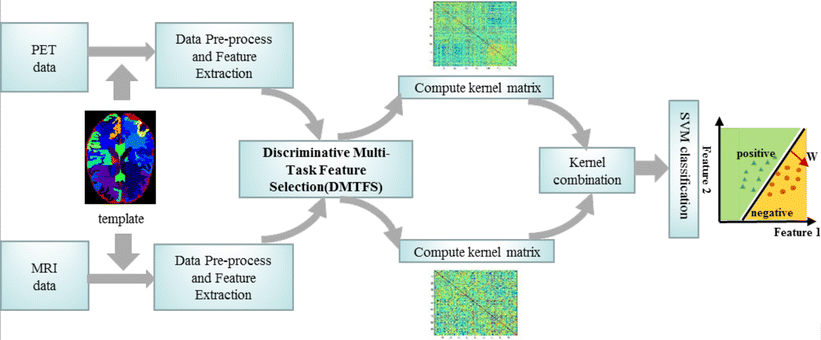 Discriminative multi-task feature selection for multi-modality classification of Alzheimer’s ...