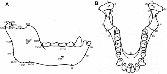 Mandibular Shape, Ontogeny and Dental Development in Bonobos ( Pan ...