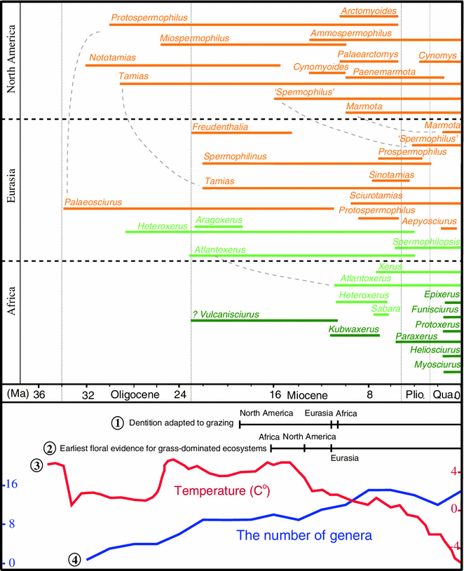 Historical Biogeography and Body Form Evolution of Ground Squirrels ...