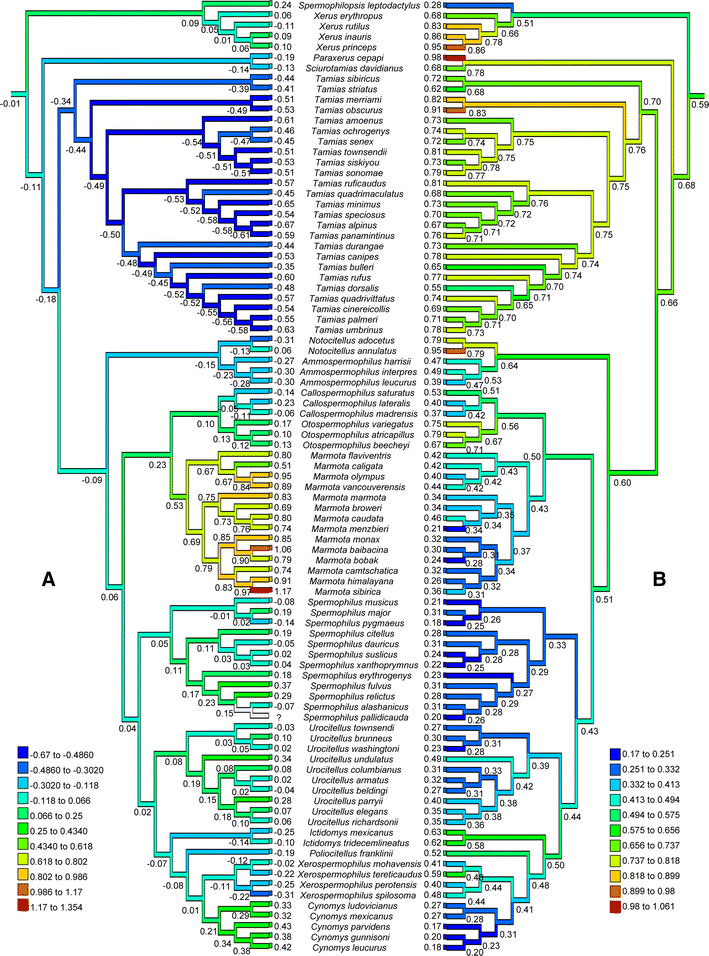 Historical Biogeography and Body Form Evolution of Ground Squirrels ...
