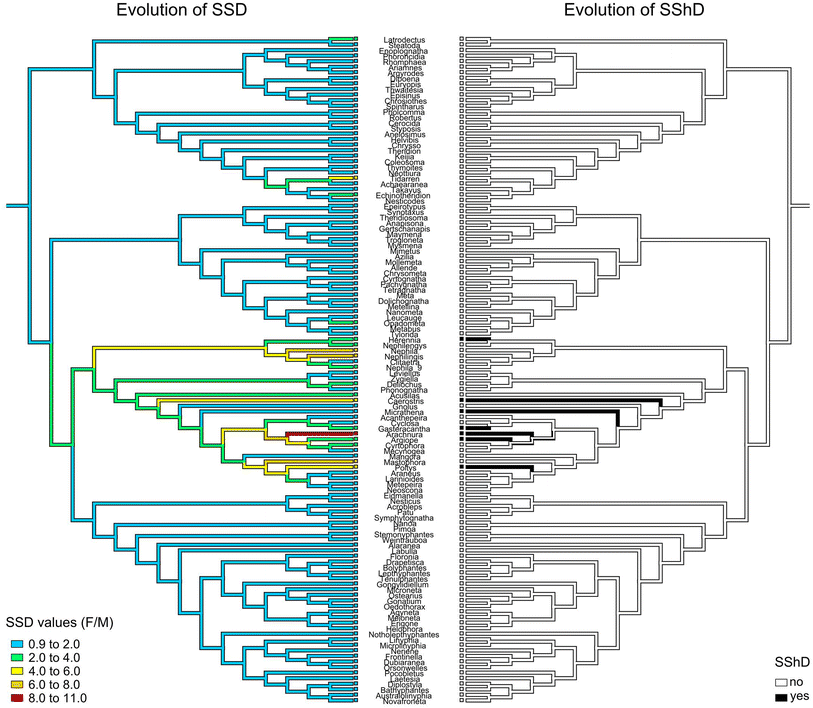 Disentangling the Size and Shape Components of Sexual Dimorphism ...