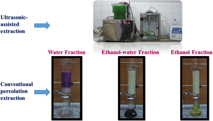 Extraction and fractionation of anthocyanins from red cabbage ...