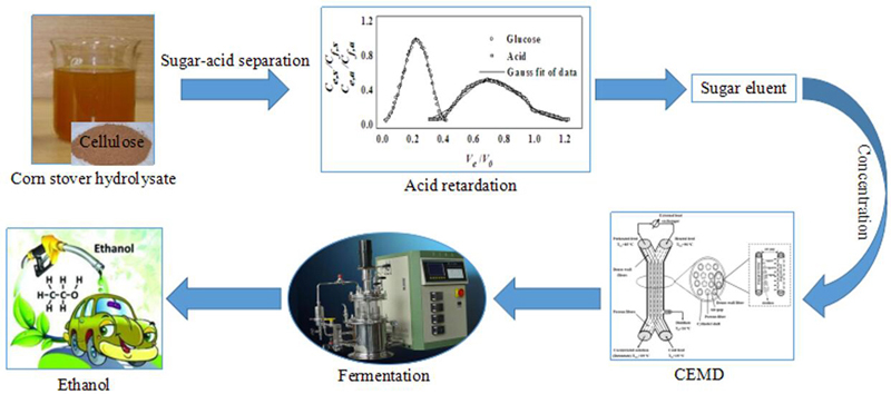 Detoxification and concentration of corn stover hydrolysate and its ...