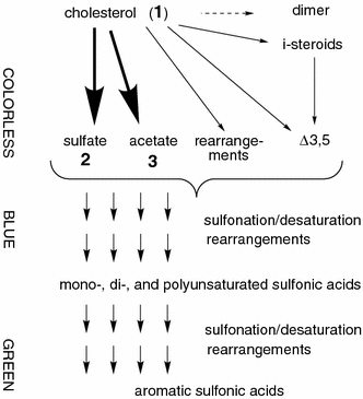 The Liebermann–Burchard Reaction: Sulfonation, Desaturation, and ...