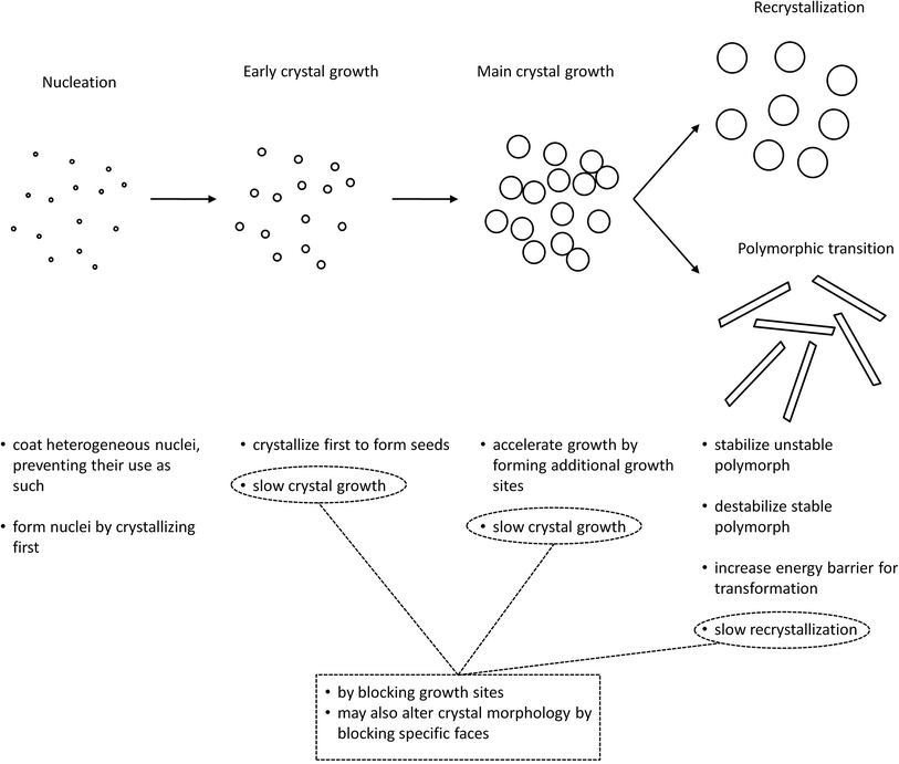 Crystallization of Fats: Influence of Minor Components and Additives ...