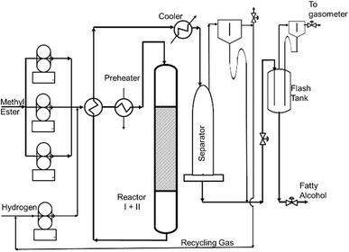 Catalysts for Fatty Alcohol Production from Renewable Resources ...