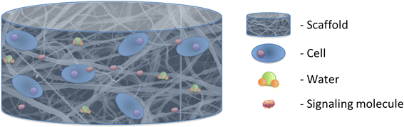 Hydrogel Composite Materials for Tissue Engineering Scaffolds | SpringerLink
