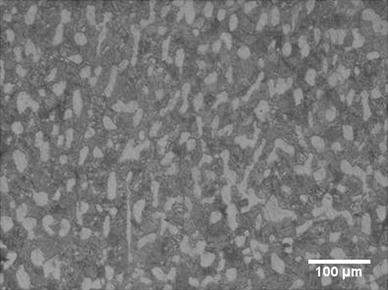 Effect of Grain Boundary Alpha on Mechanical Properties of Ti5.4Al3Mo1V ...