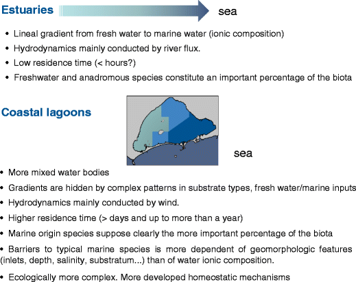 Coastal lagoons: “transitional ecosystems” between transitional and ...
