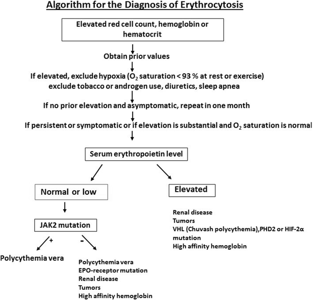 Polycythemia Vera | SpringerLink