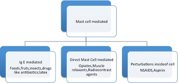 ACE Inhibitor–Induced Angioedema | SpringerLink