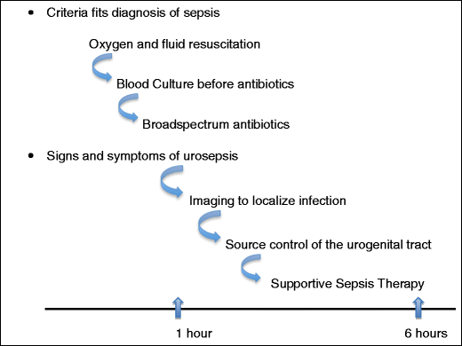 Evaluation and Treatment Urosepsis | SpringerLink