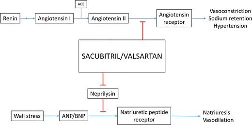 Neprilysin Inhibitors in Cardiovascular Disease | SpringerLink