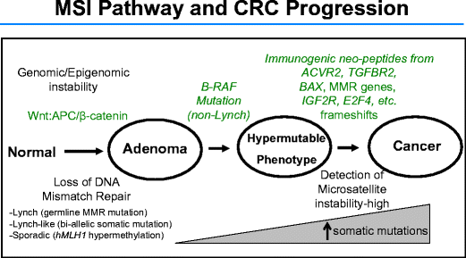 Microsatellite Instability Pathway and EMAST in Colorectal Cancer ...