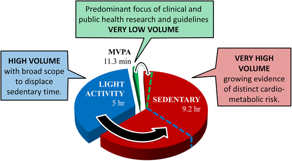 Managing Sedentary Behavior to Reduce the Risk of Diabetes and ...
