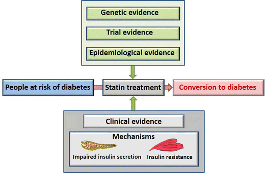 Diabetes Secondary to Treatment with Statins | SpringerLink