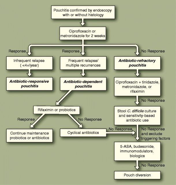 Diagnosis and Management of Pouchitis and Ileoanal Pouch Dysfunction ...