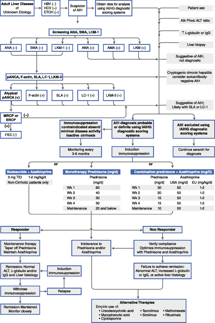 Diagnosis and Treatment of Autoimmune Hepatitis | SpringerLink