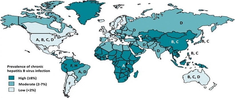 Global Epidemiology of Hepatitis B Virus (HBV) Infection | SpringerLink