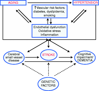 Vascular Mechanisms in the Pathogenesis of Stroke | SpringerLink