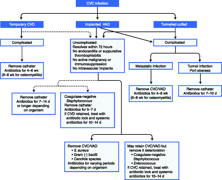 Vascular Access Infections: Epidemiology, Diagnosis, and Management ...