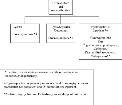 Treatment of Complicated Urinary Tract Infections With an Emphasis on ...