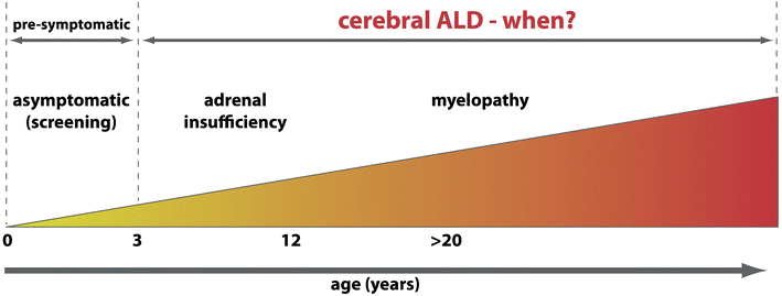 X-Linked Adrenoleukodystrophy: Pathogenesis and Treatment | SpringerLink