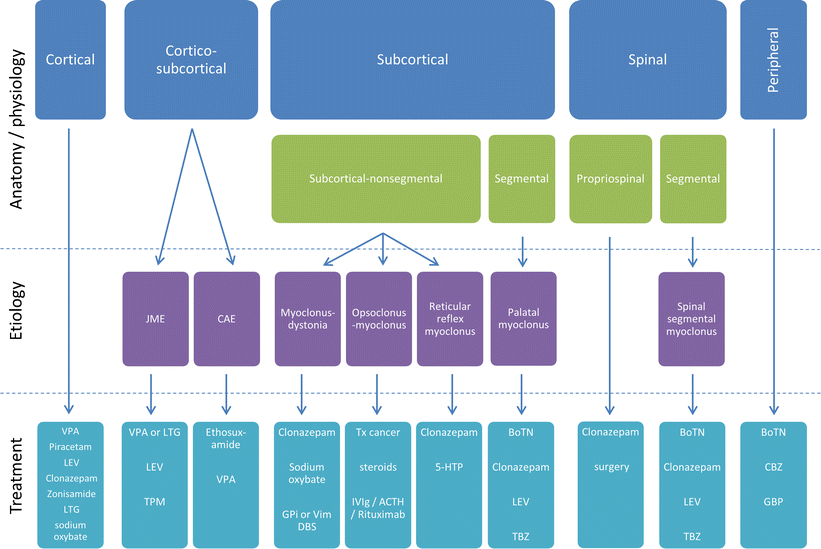 An Update and Review of the Treatment of Myoclonus | SpringerLink