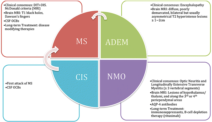 Paediatric Multiple Sclerosis: Update on Diagnostic Criteria, Imaging ...
